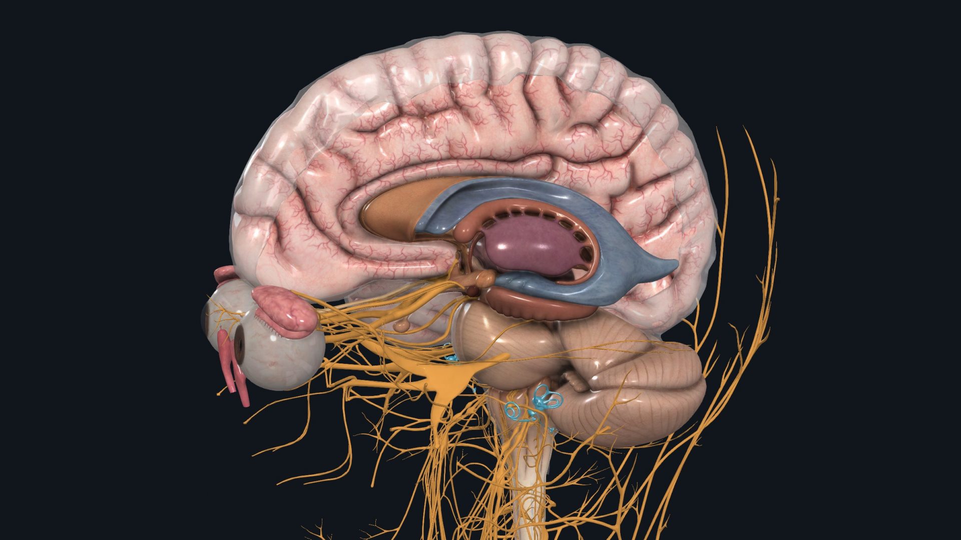 Proyectos - RealiTec UDD