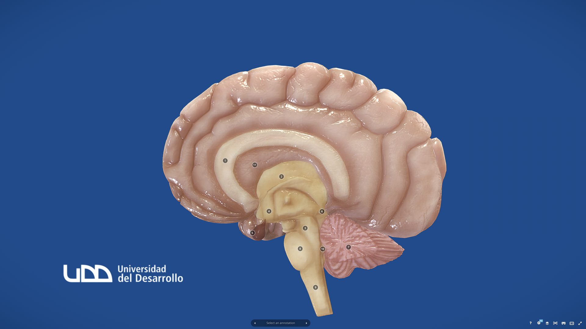 Proyectos - RealiTec UDD