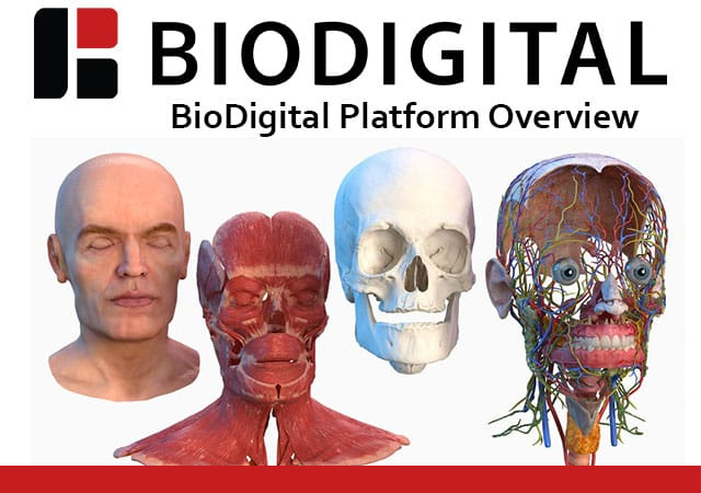 BIODIGITAL - RealiTec UDD